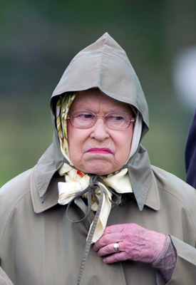 Elizabeth Stock's Instagram, Twitter & Facebook on IDCrawl